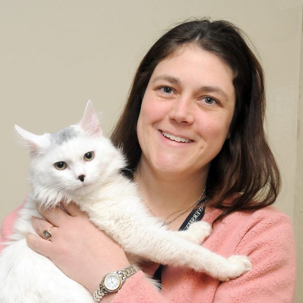 Interview! Dr. Emily McCobb, DVM, MS, DACVAA, Director, Shelter ...