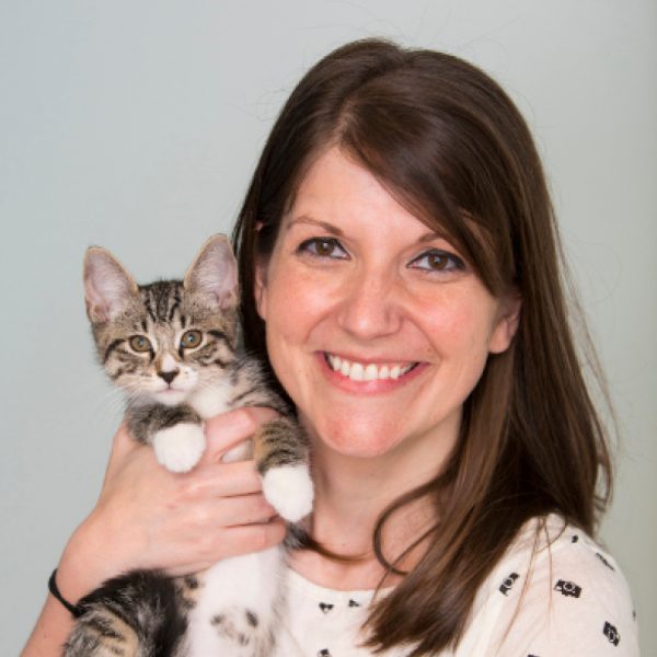 Interview! Elizabeth Putsche, Founder, For All Animals - The Community ...