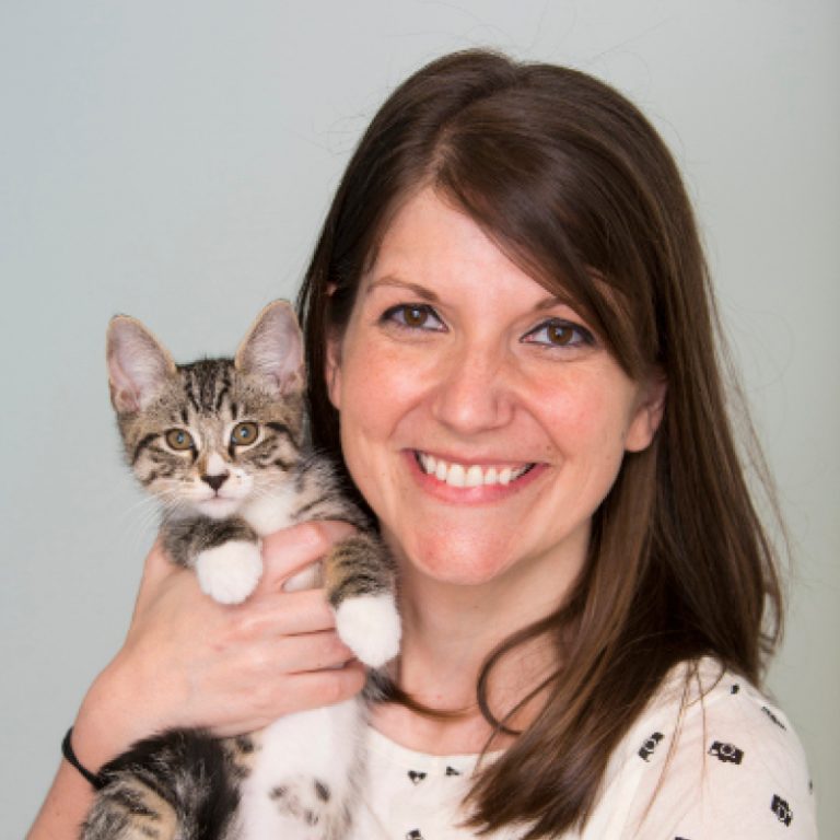 Interview! Elizabeth Putsche, Founder, For All Animals - The Community ...
