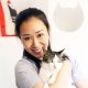 Interview! Christina Ha, Co-Founder of Meow Parlour and Creator of Cat ...