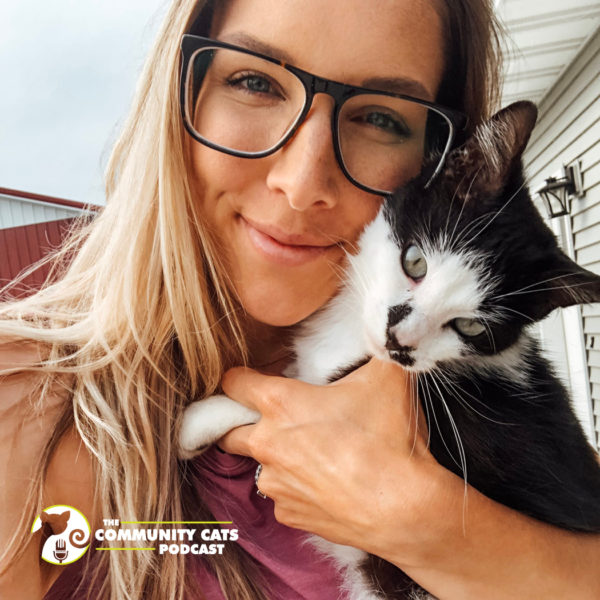 Introducing Your New Kitten to the Family: Older Cats, Dogs, and Children