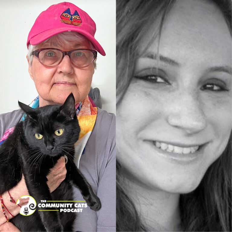 Campaigns for Community Cat Education with Louise Holton, Founder of ...