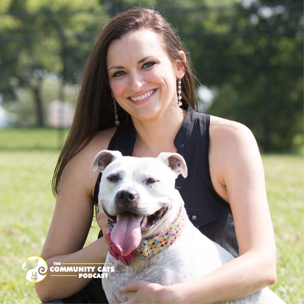 Tracking the Stats for Cats with Stephanie Filer, Executive Director of ...