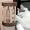 Low-Cost Enrichment Ideas to Keep Your Cats Healthy & Happy