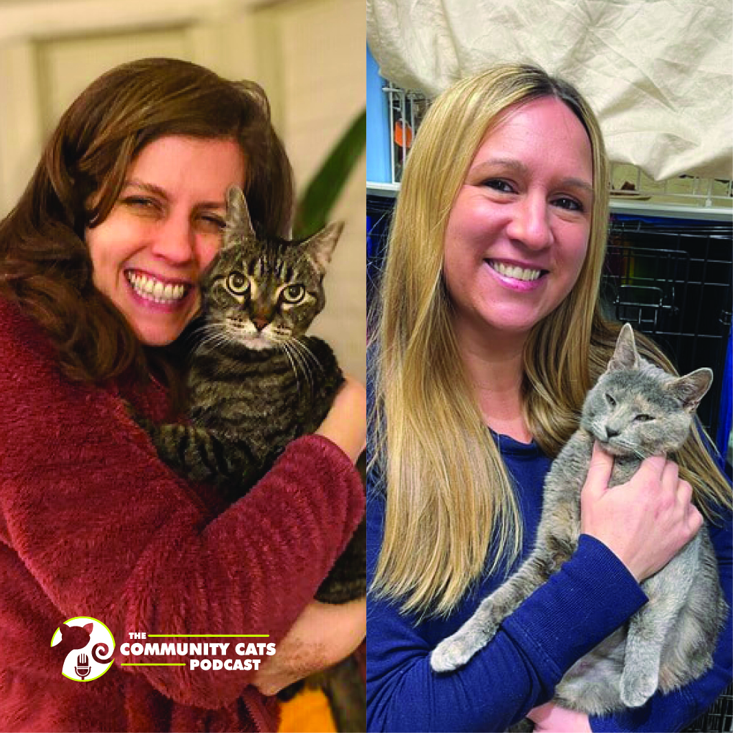 Spurring Change for Cats from the Top Down with Jonlyn Freeman, Founder ...