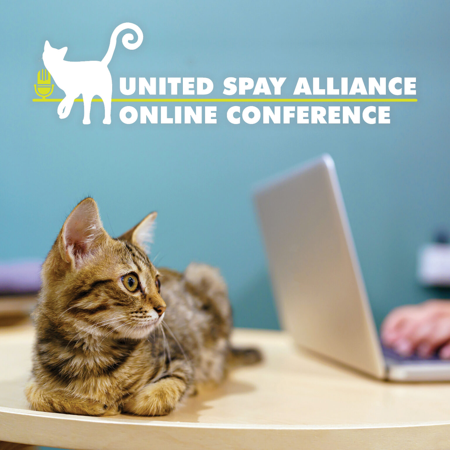 2025 United Spay Alliance Online Conference - The Community Cats Podcast