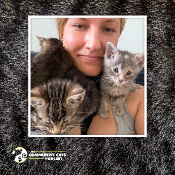 Interview! Meredith Hippert, Director of Field Operations, Animal ...
