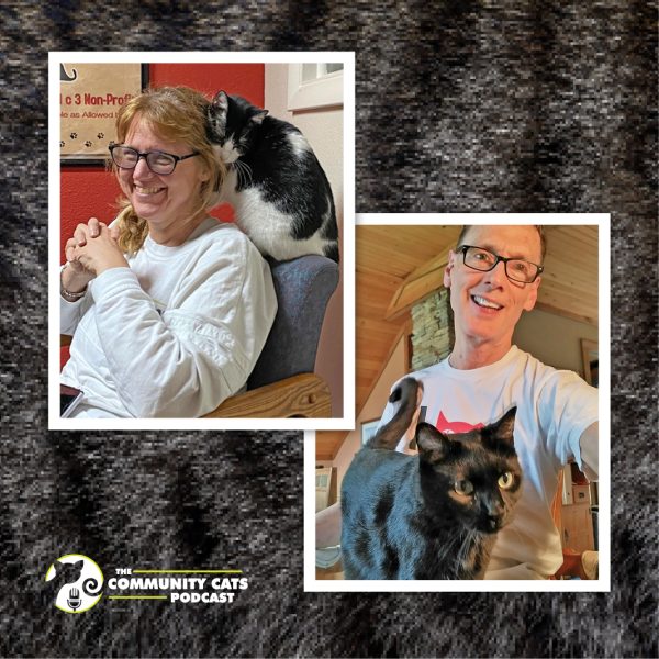 Strategic Planning for Community Cats and Their Caregivers in 2025 ...
