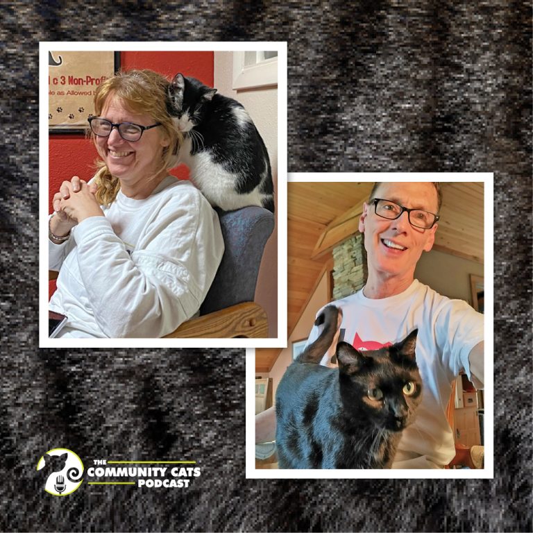 Strategic Planning for Community Cats and Their Caregivers in 2025 ...