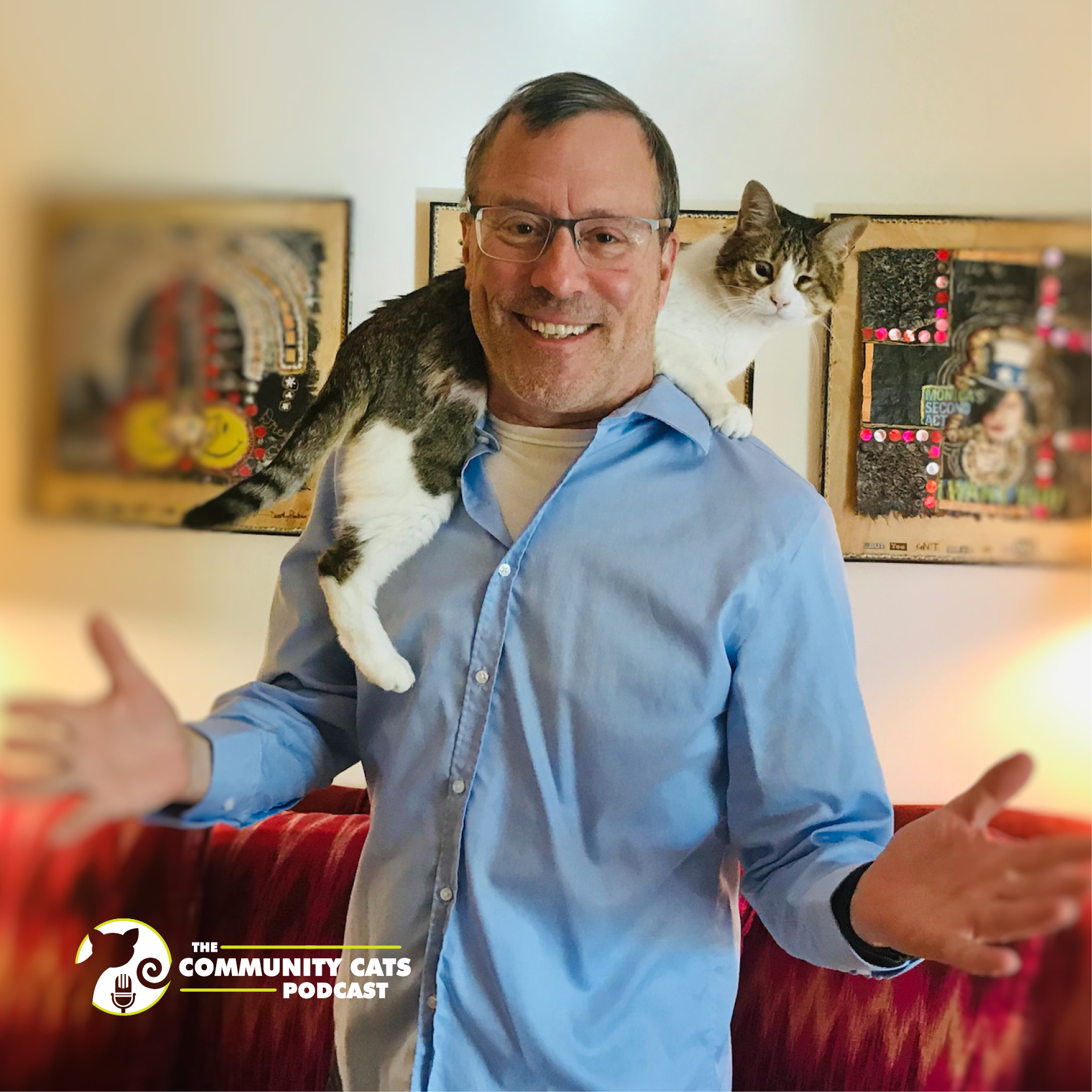 Podcast - The Community Cats Podcast