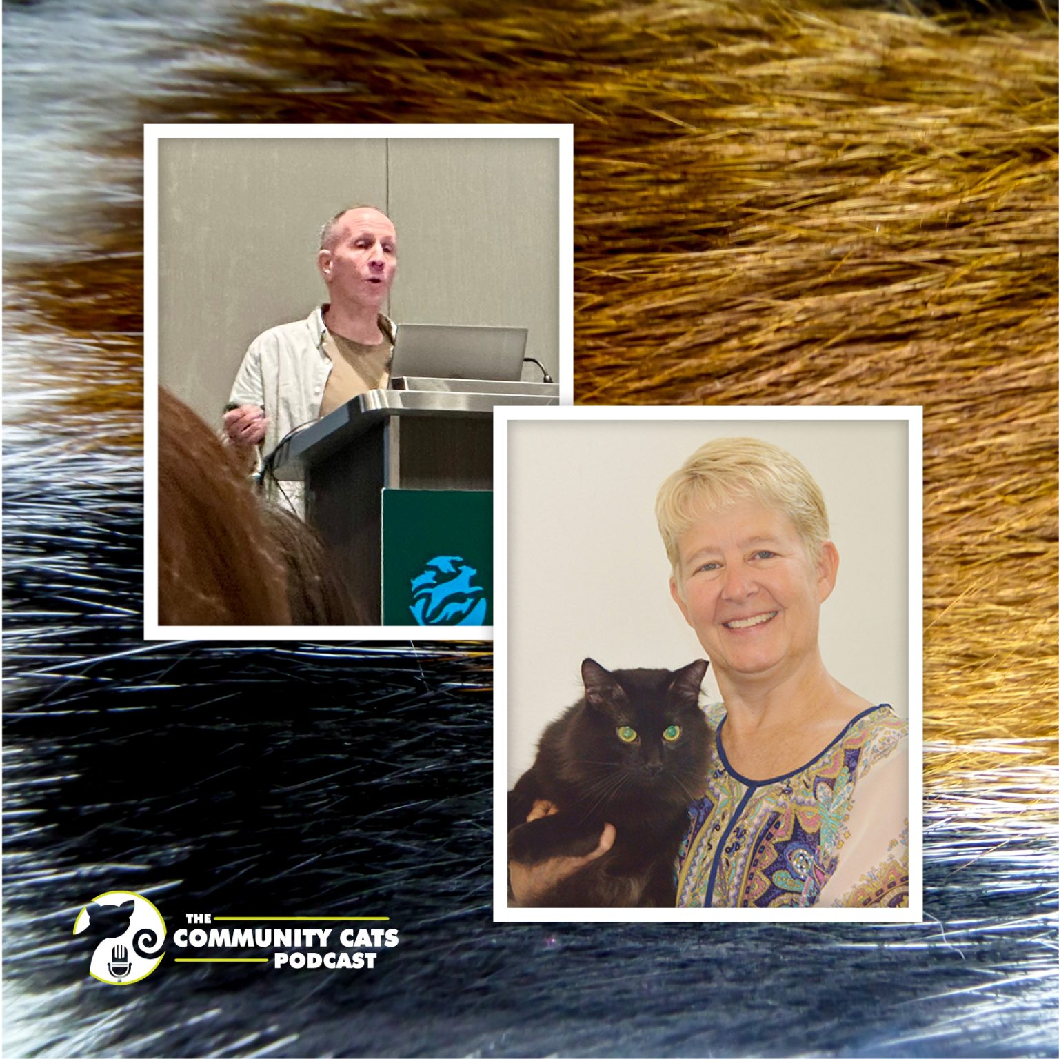 Is Return-to-Field the Future? Insights from Expo - The Community Cats ...