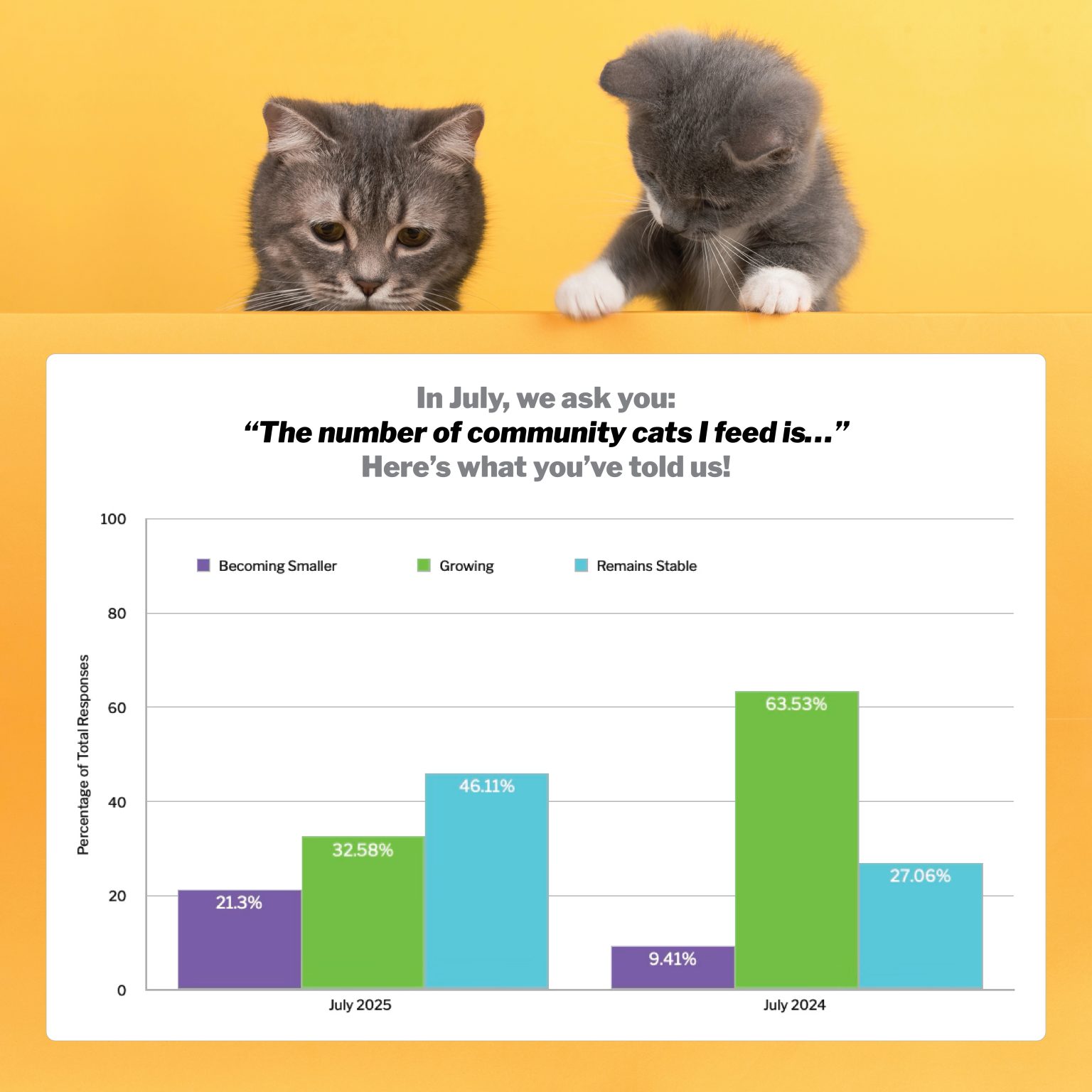 Survey Data Proves TNR Works: Cat Colonies Stabilizing